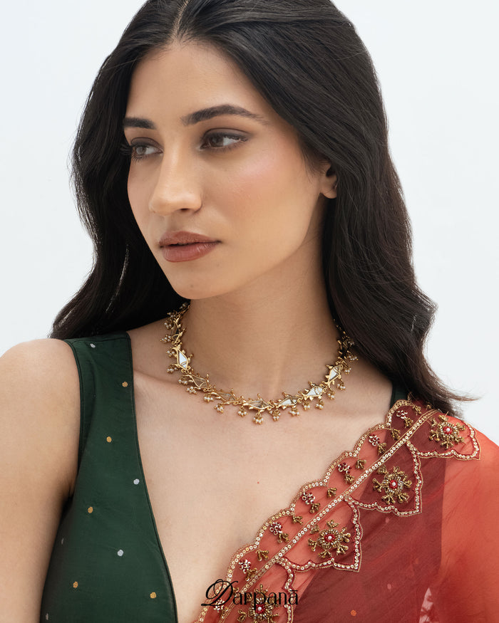 Darpan Meen Choker